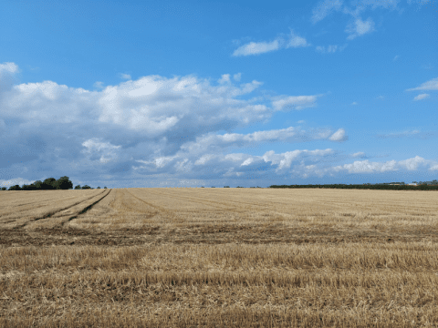 Planning Green Light for Daisy Hill Solar Farm | Enviromena