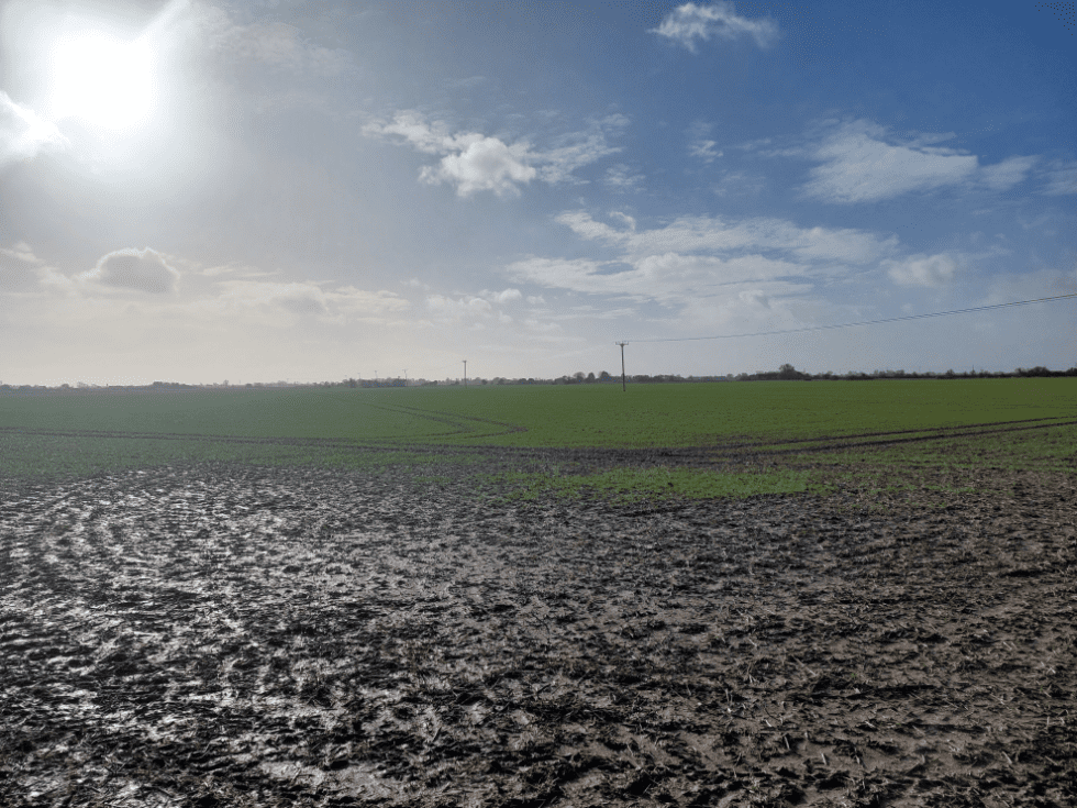 Approval granted for Kent solar project powering more than 10,500 homes ...